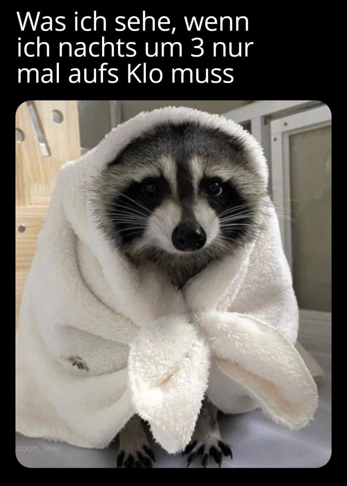 Wenigstens stinkt er ausnahmsweise mal nicht - 9GAG