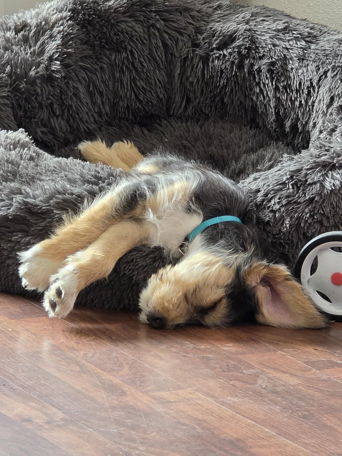 Ted being tired - 9GAG
