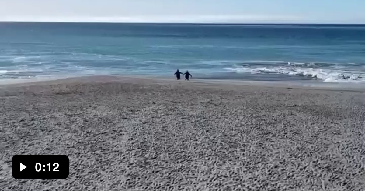 Such joy and closeness! - 9GAG