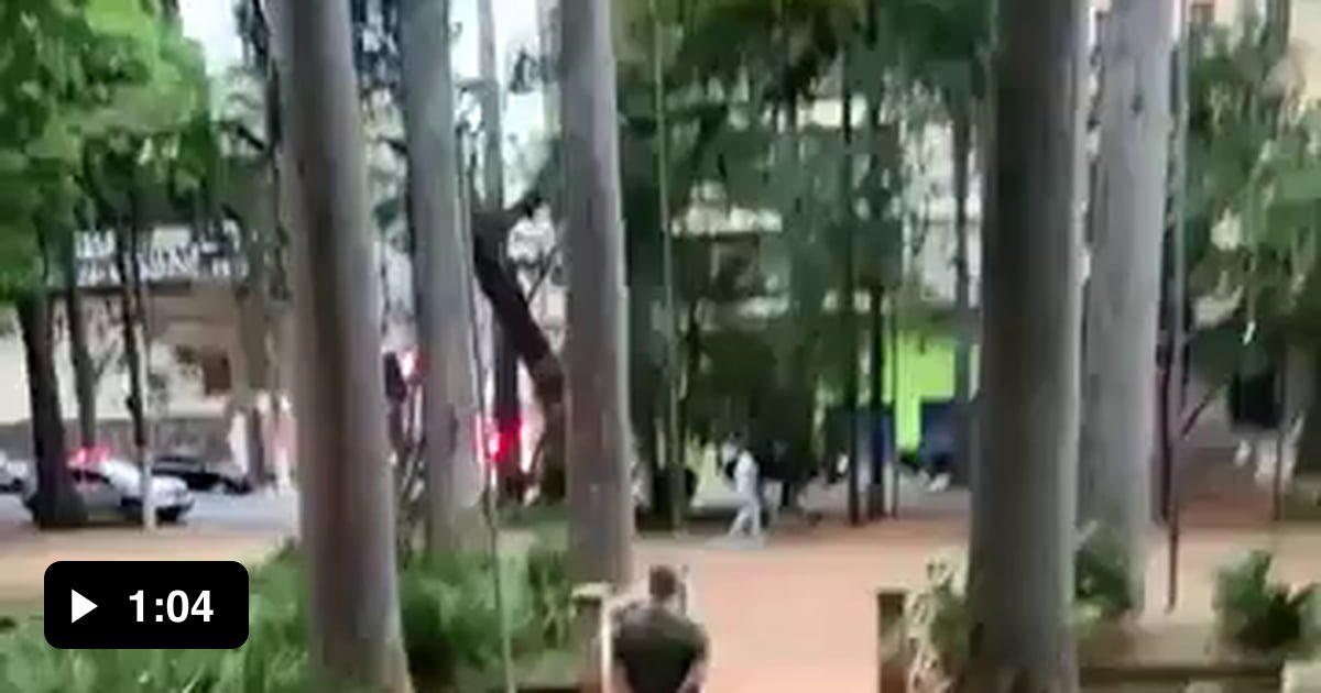 Intense scene unfolding in the park - 9GAG