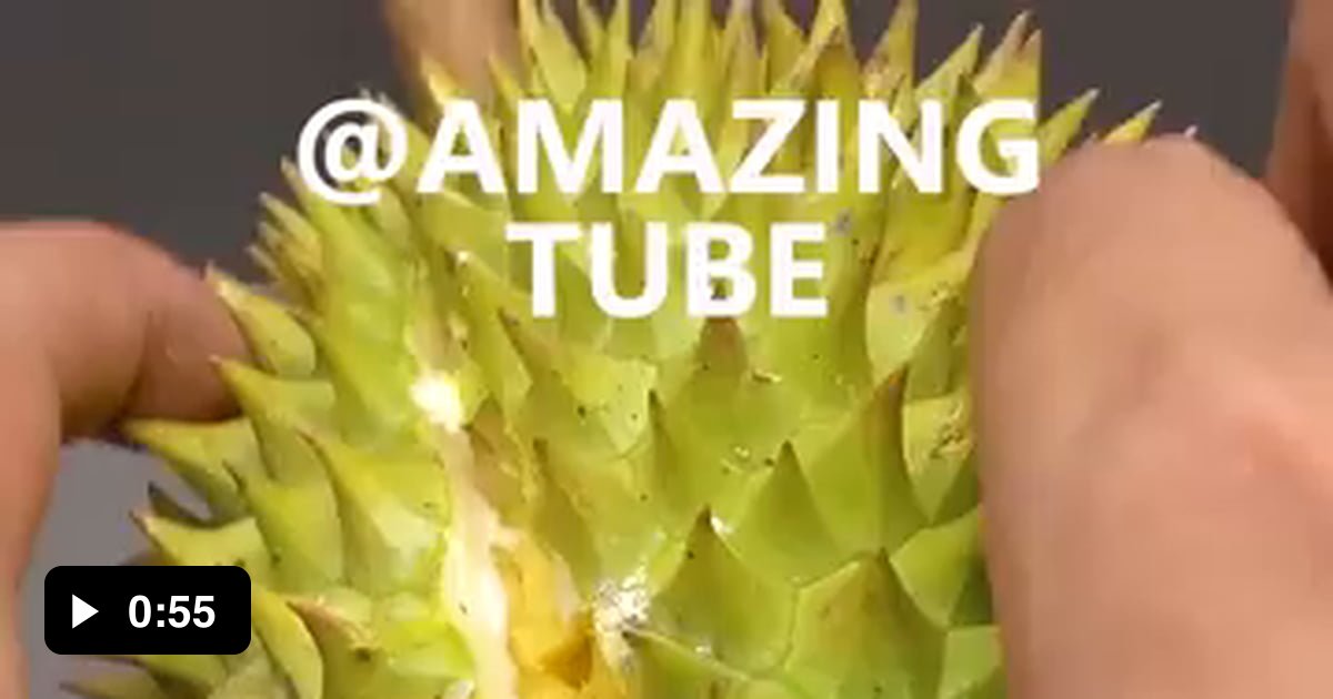 Watching a durian seed sprout and grow into a tree is surprisingly ...