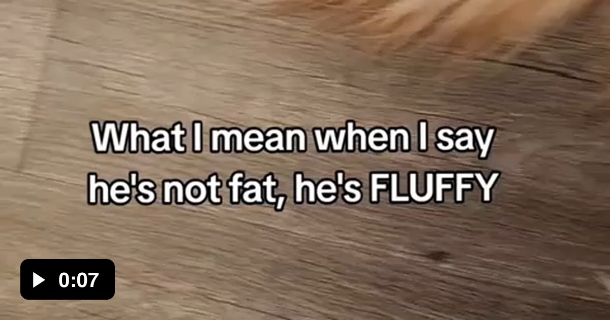 He's VERY fluffy 🐈🧡 - 9GAG