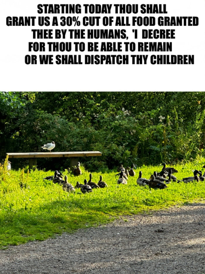 Crowd Control - 9GAG