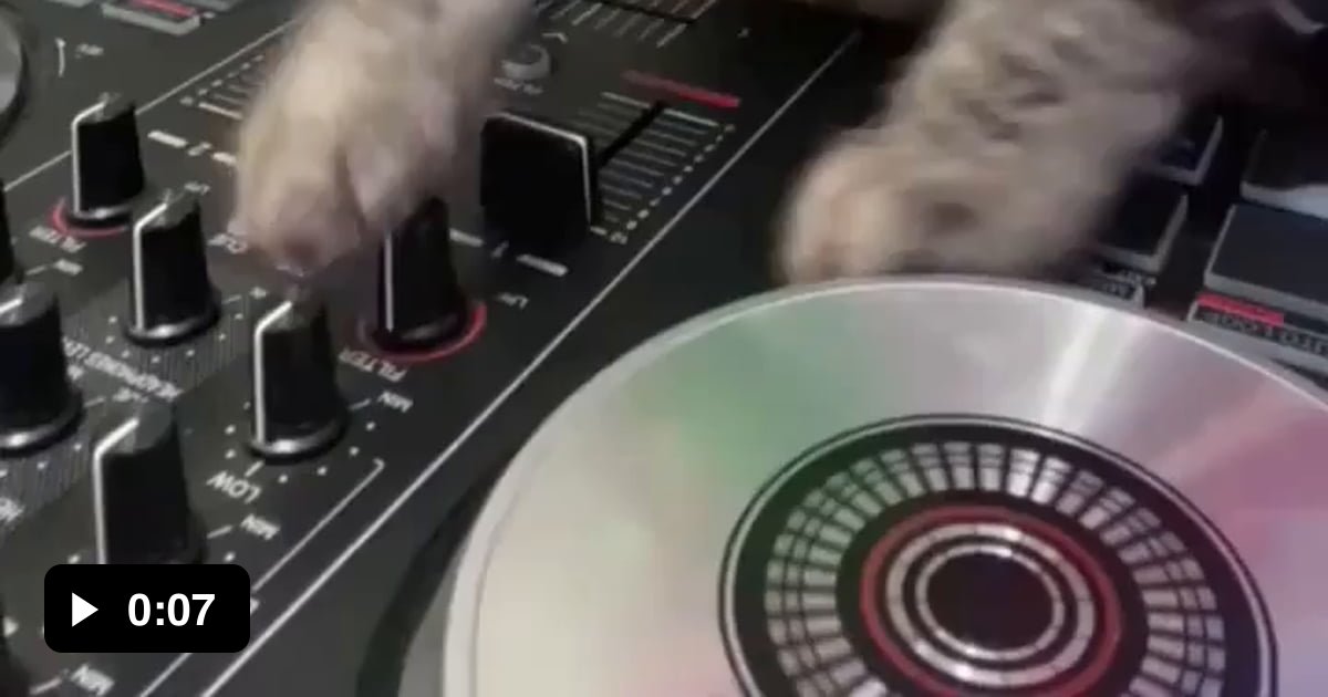 Dj kityy on the house - 9GAG