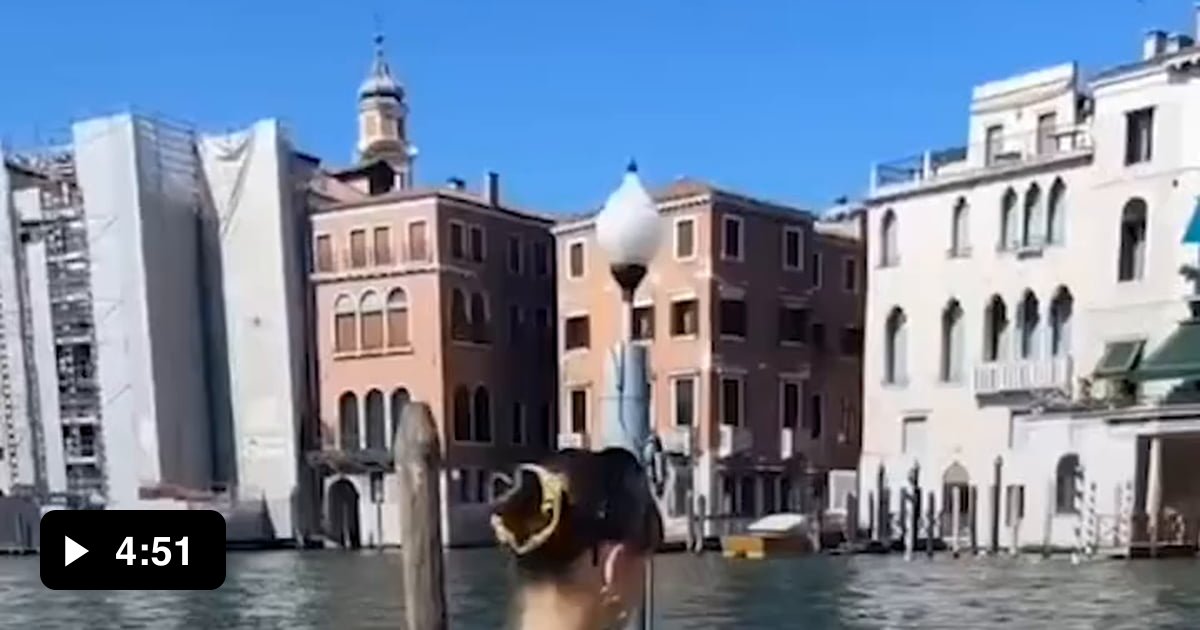 Give this girl a job at acting - 9GAG