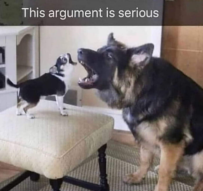 Dog argument - 9GAG