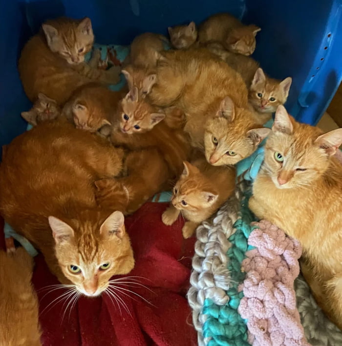 Someone has just become a daddyyy - 9GAG