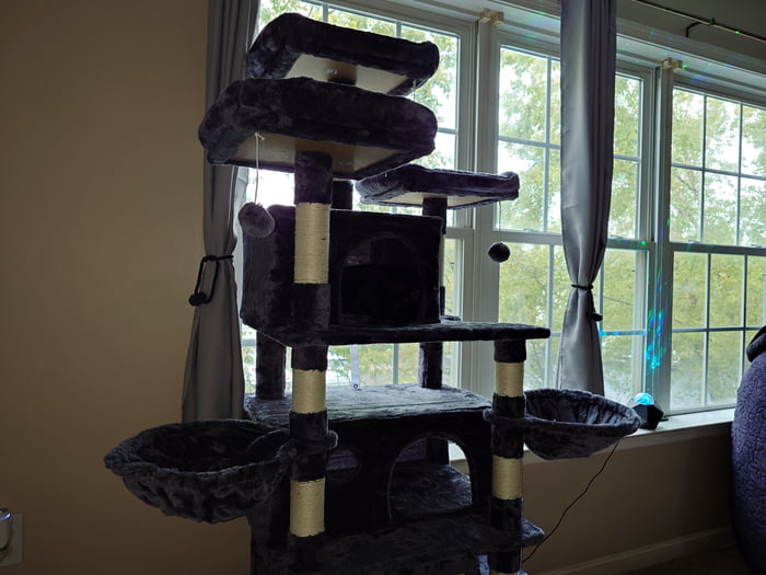 Here's my void - 9GAG