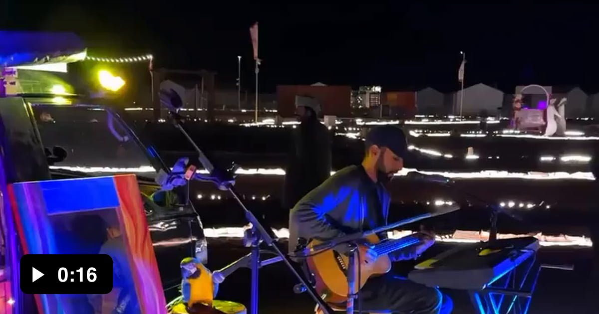 Bird gives an outstanding street performance - 9GAG