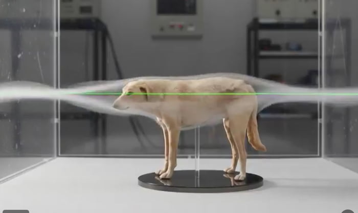 Absolutely no one: …. Japanese researchers: aerodynamics of a Mongolian ...