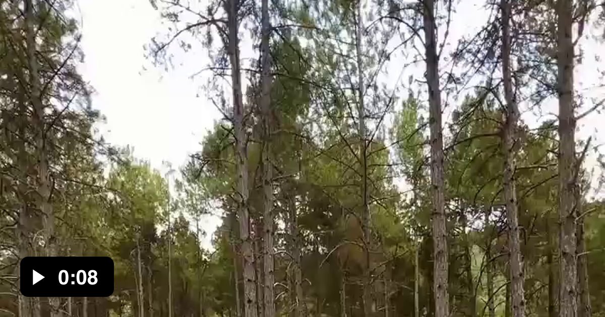 First try vs second try is too real - 9GAG