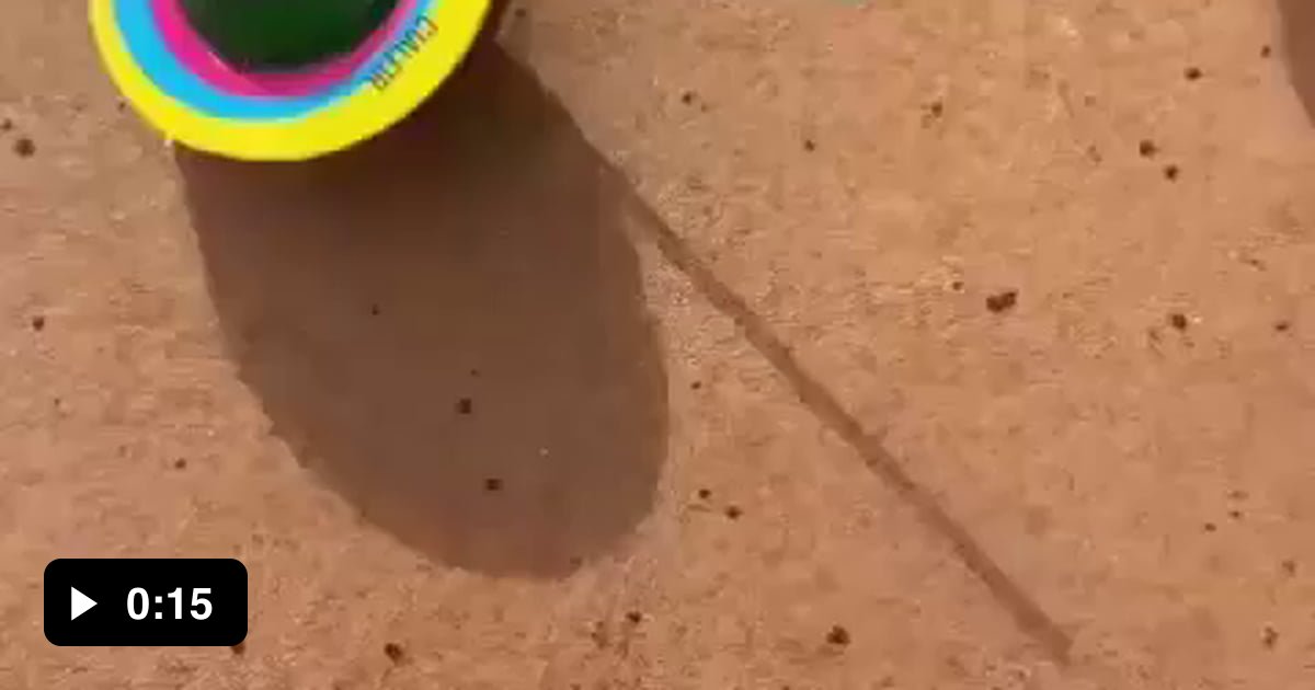 Things got out of hand real fast ;) - 9GAG