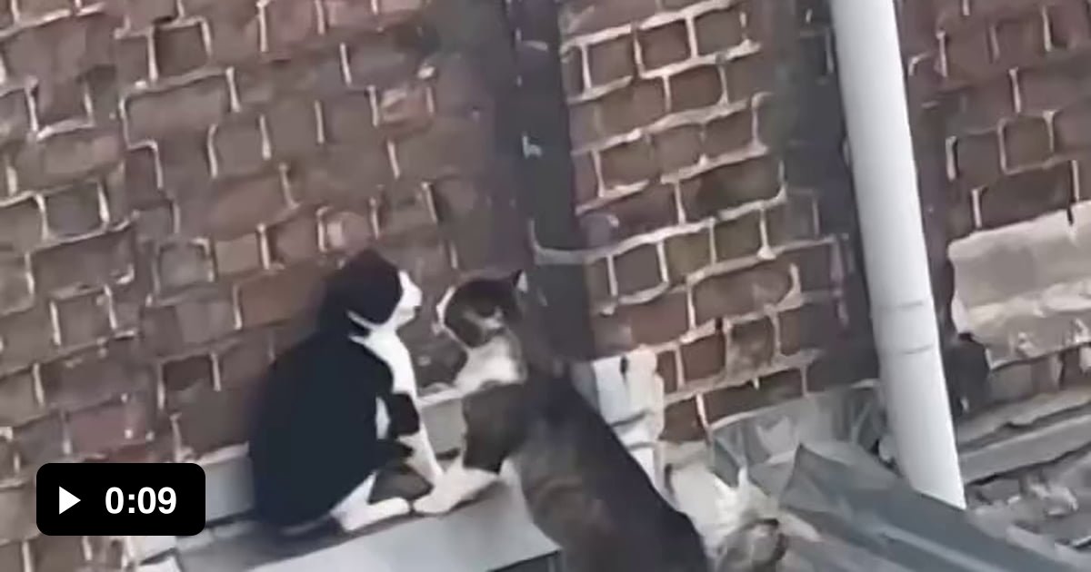 Aaaaaand! Action!!! - 9GAG