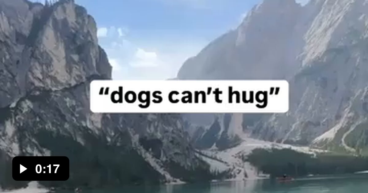 "Every morning doggo gives him a hug" - 9GAG