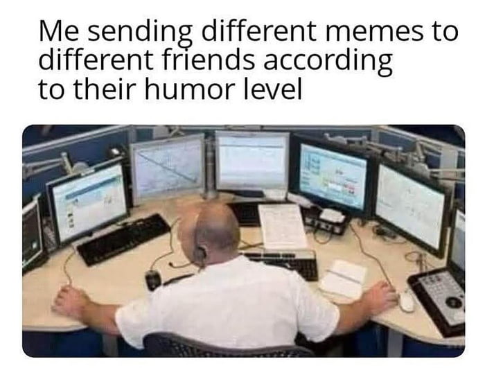 Mastering the art of meme distribution, ensuring everyone gets a laugh ...