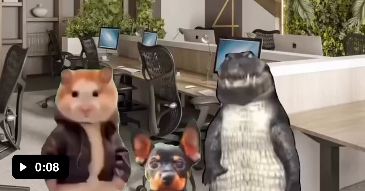 When the squad rolls in on a Friday ready to give it their all, or at ...