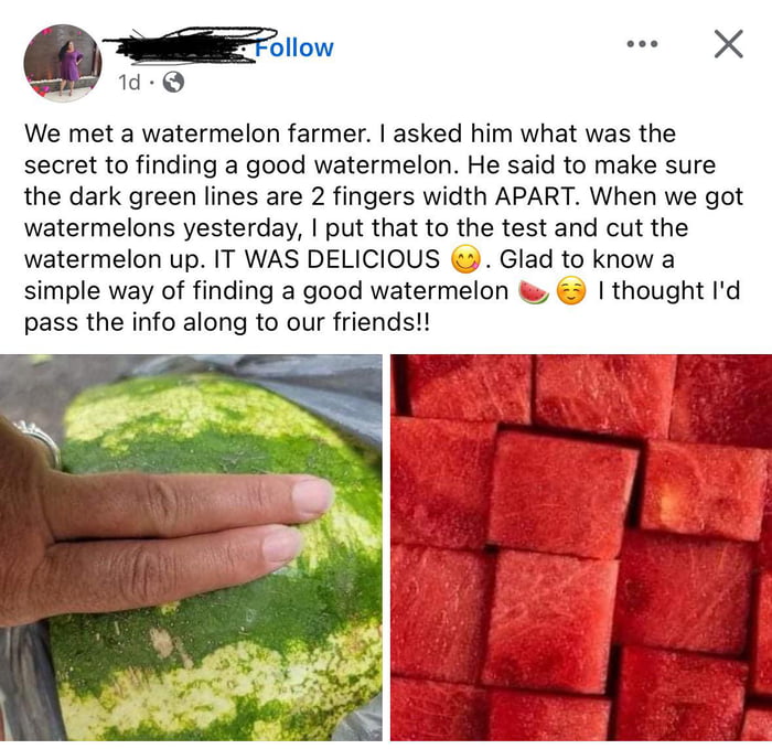 A cool guide for selecting delicious watermelon - 9GAG