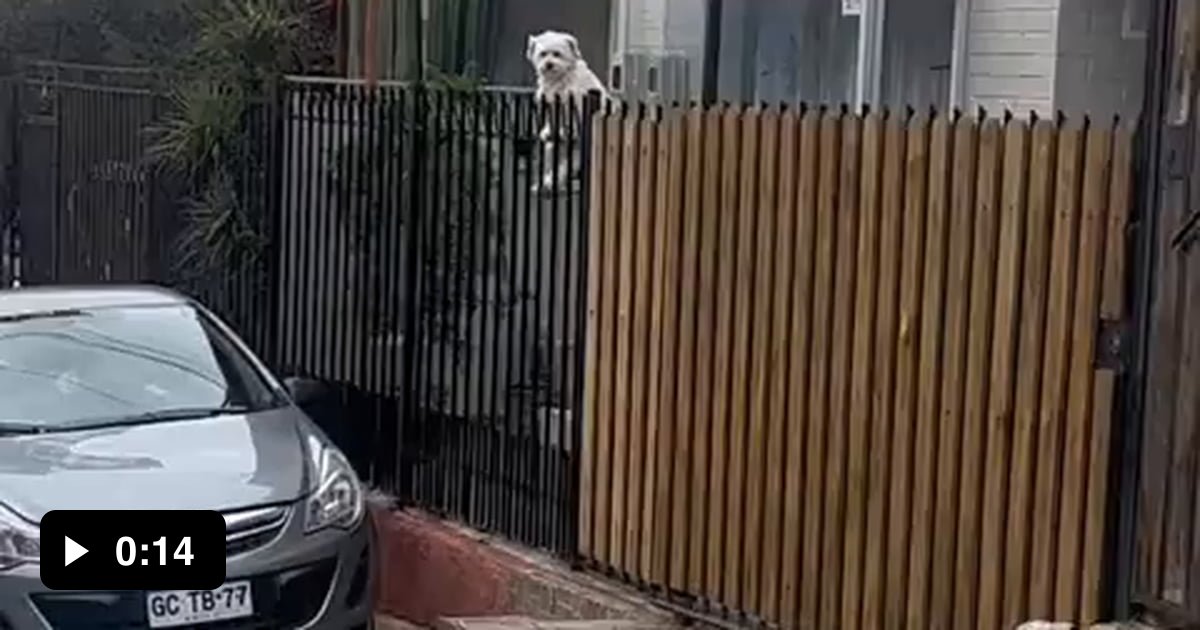 New type of CCTV cameras - 9GAG