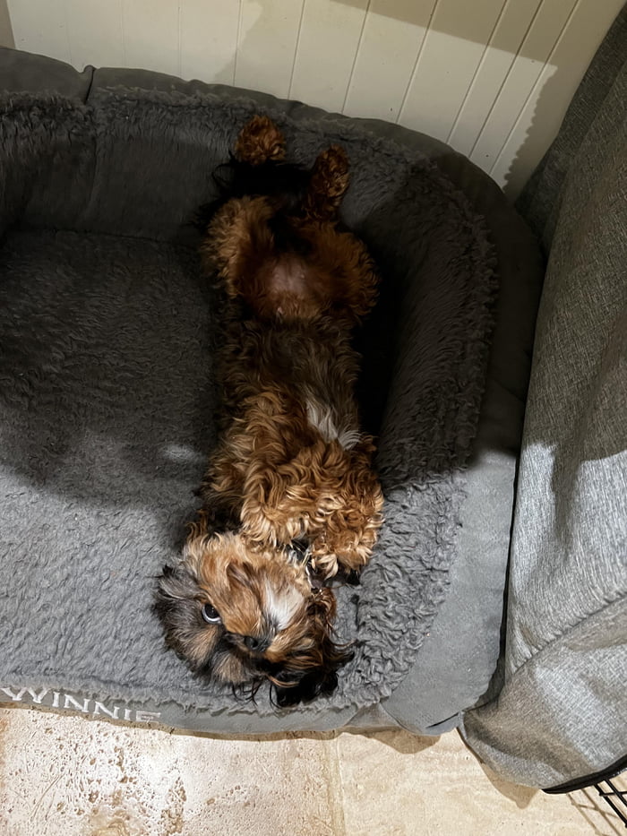 Someone’s a bit too relaxed! - 9GAG