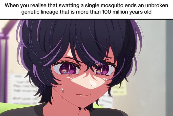 Genetic lineage - 9GAG