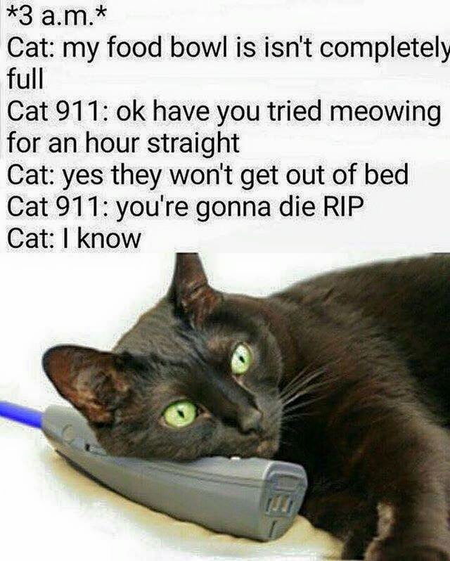 RIP cate - 9GAG