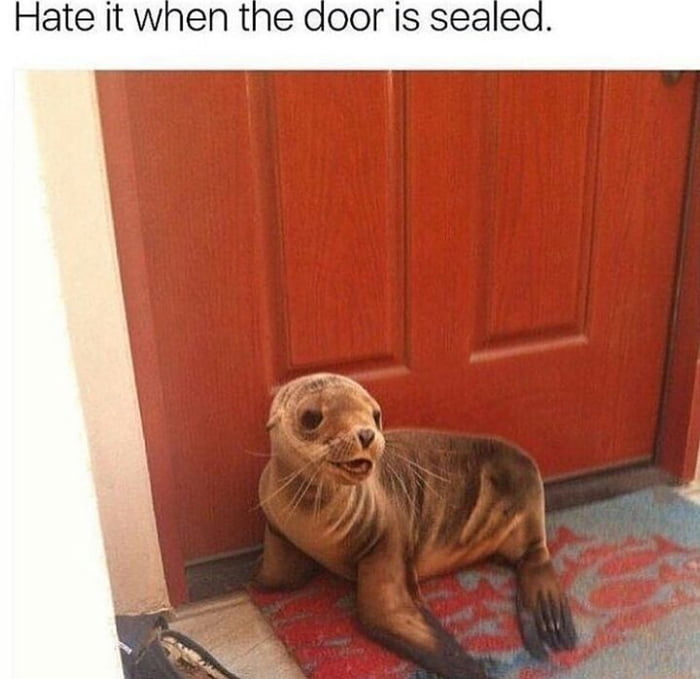 Haha! Get it? - 9GAG