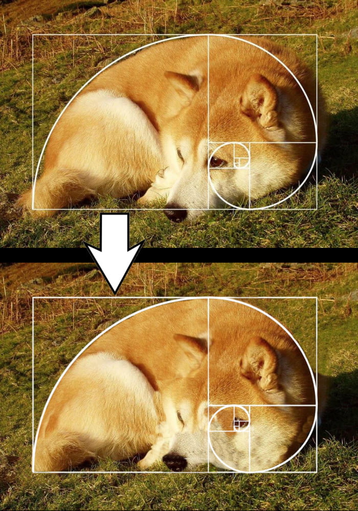 I fixed the fibonacci doggo - 9GAG
