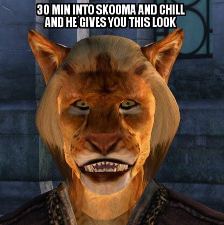 Skooma all night - 9GAG