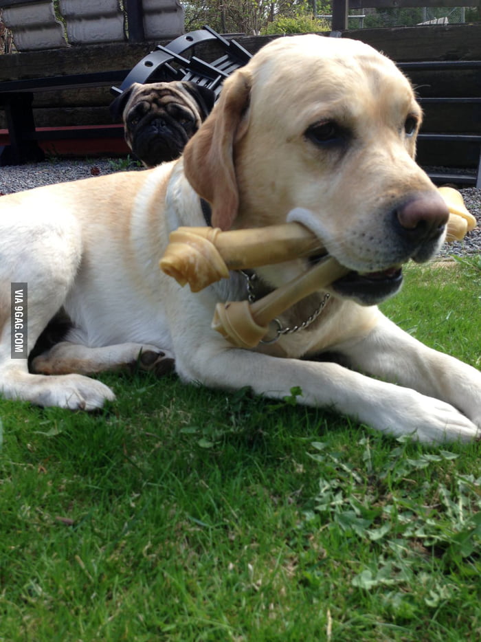 He is behind me isn't he? - 9GAG