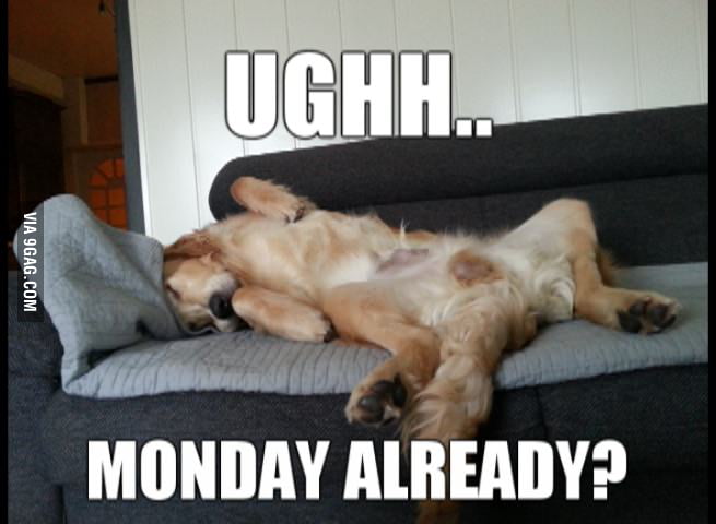 Monday already? - 9GAG