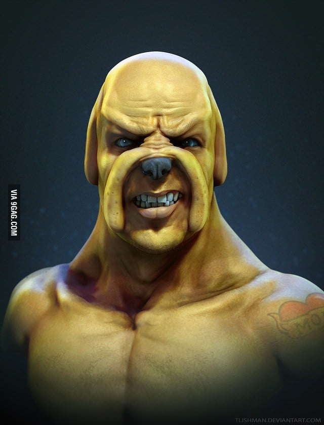 Realistic Jake From Adventure Time - 9GAG