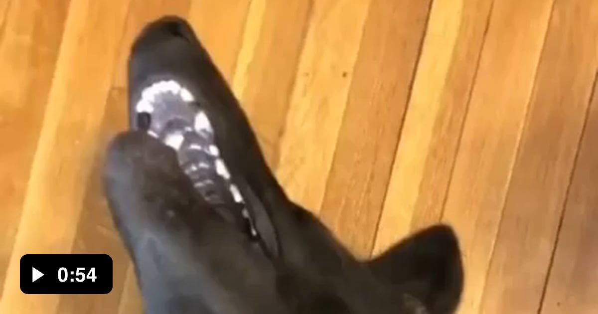 Big fingy biter - 9GAG