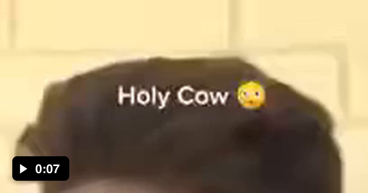 Holy Cow. - 9GAG
