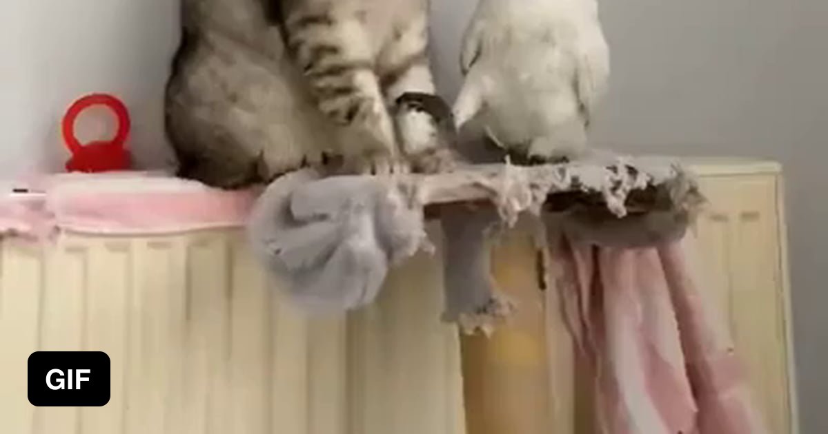 Make a bold move and tell your crush how you feel - 9GAG