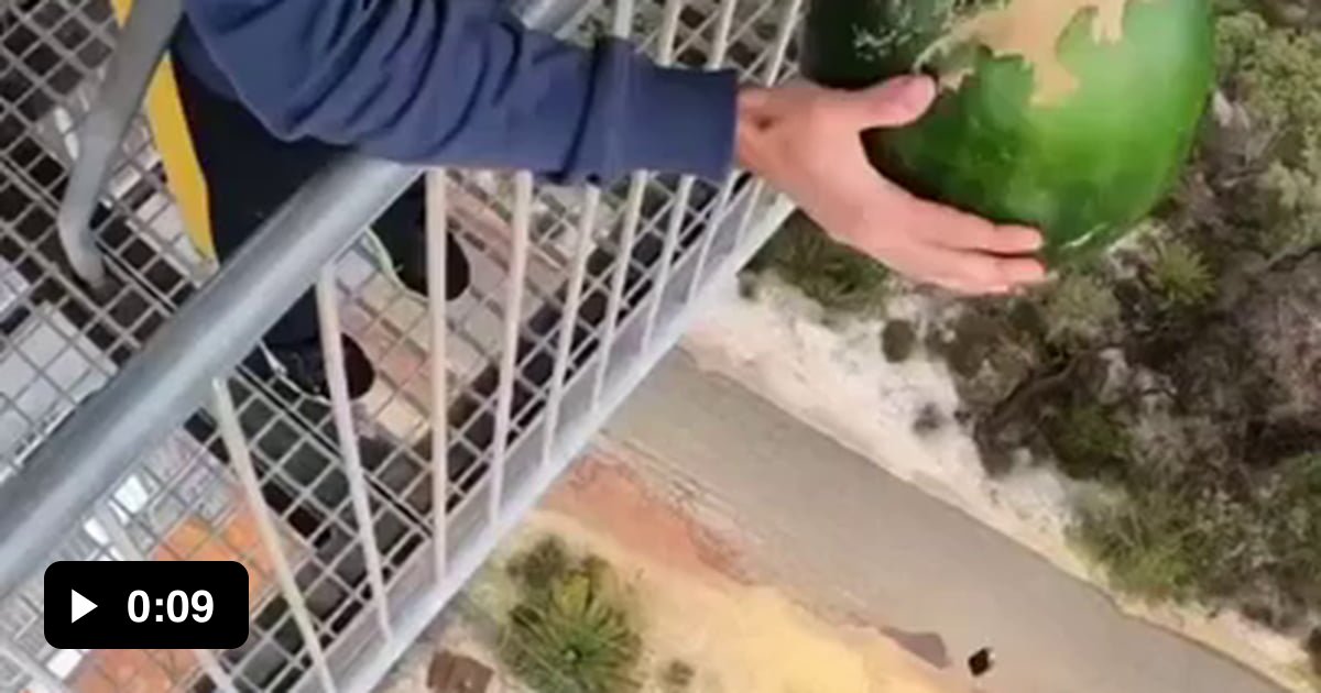 Watermelon vs World's Largest Exercise Ball - 9GAG