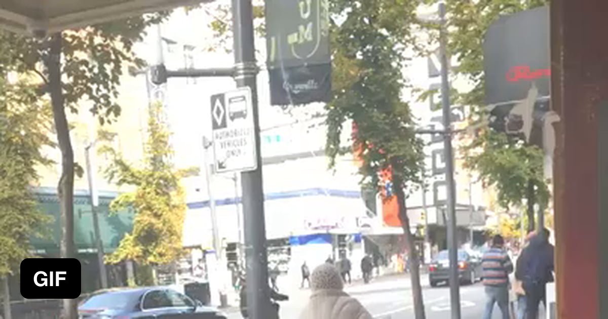 There's a "Duck Lady" in Vancouver, and her duck is WEARING SHOES - 9GAG