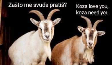 Koza - 9GAG