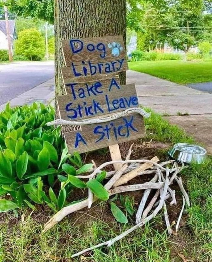 Dog library - 9GAG