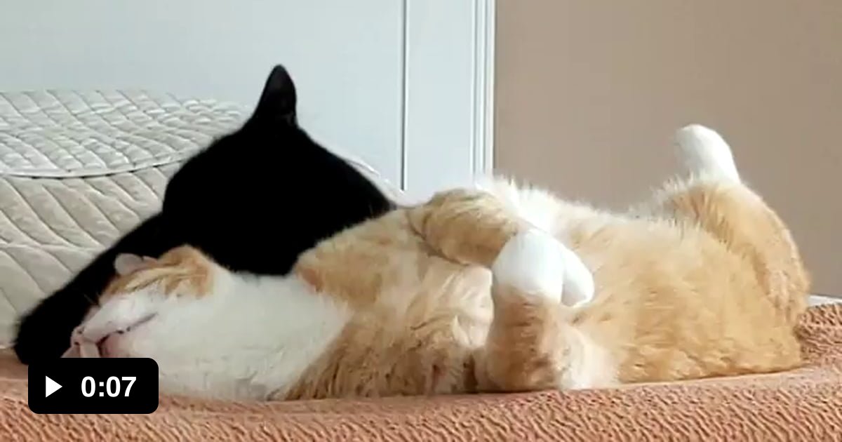 I been a tough week, I know. But friday is here. Just lay back and let ...