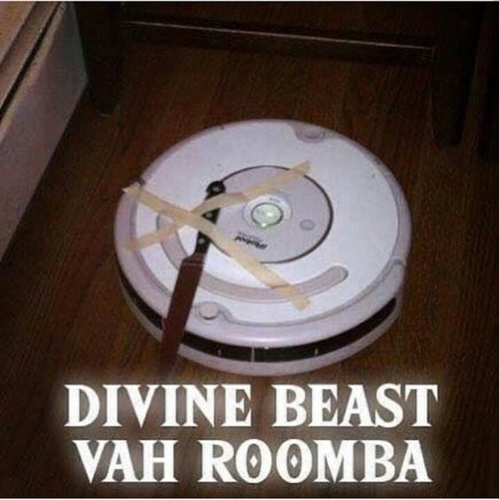 Divine beast vah roomba - 9GAG