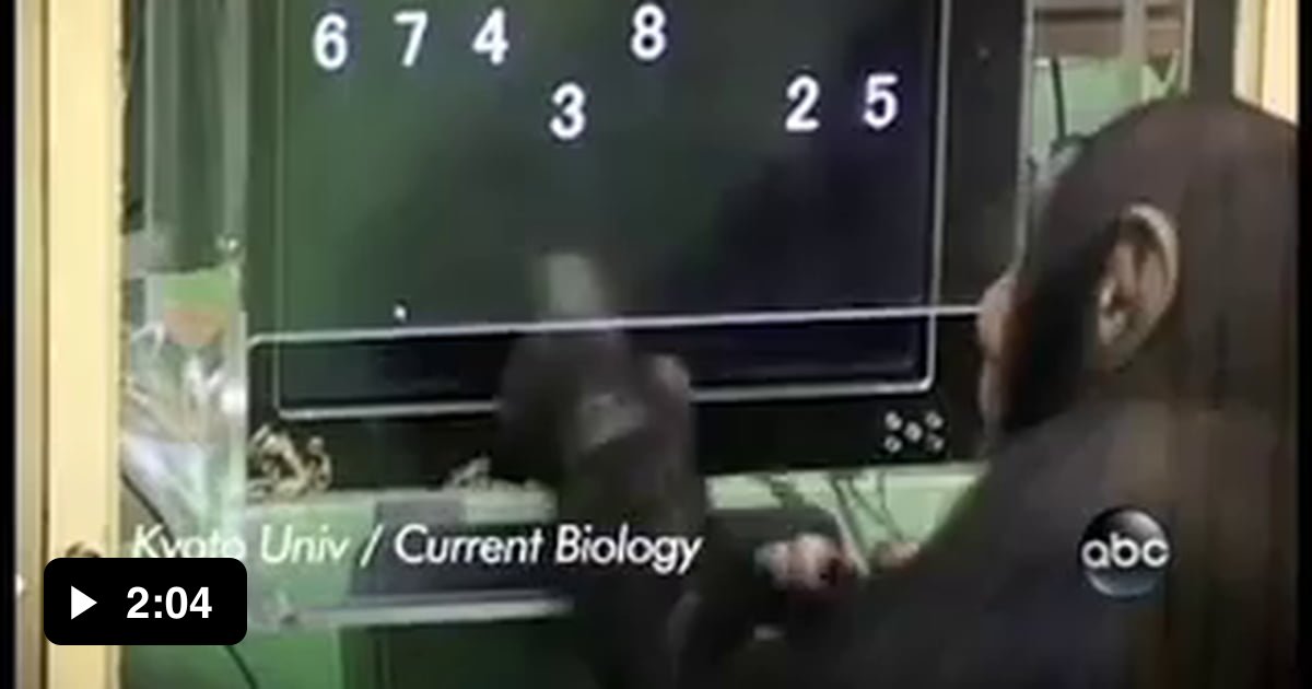 Short term memory test in a chimp and a human. - 9GAG