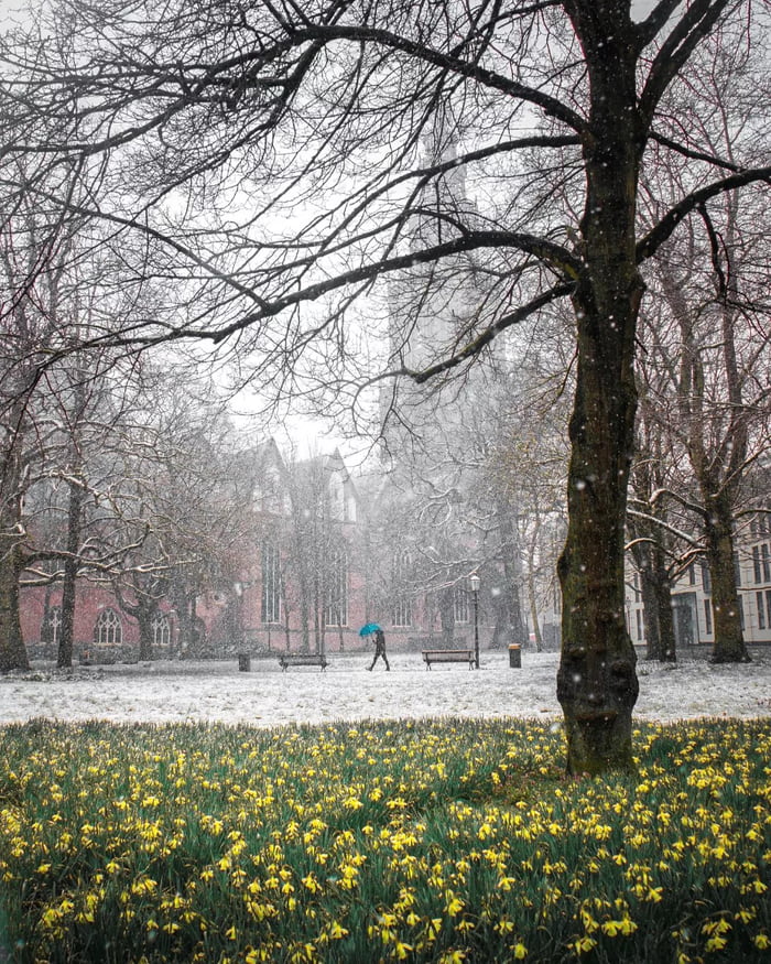 Winter in spring. Groningen, The Netherlands - 9GAG