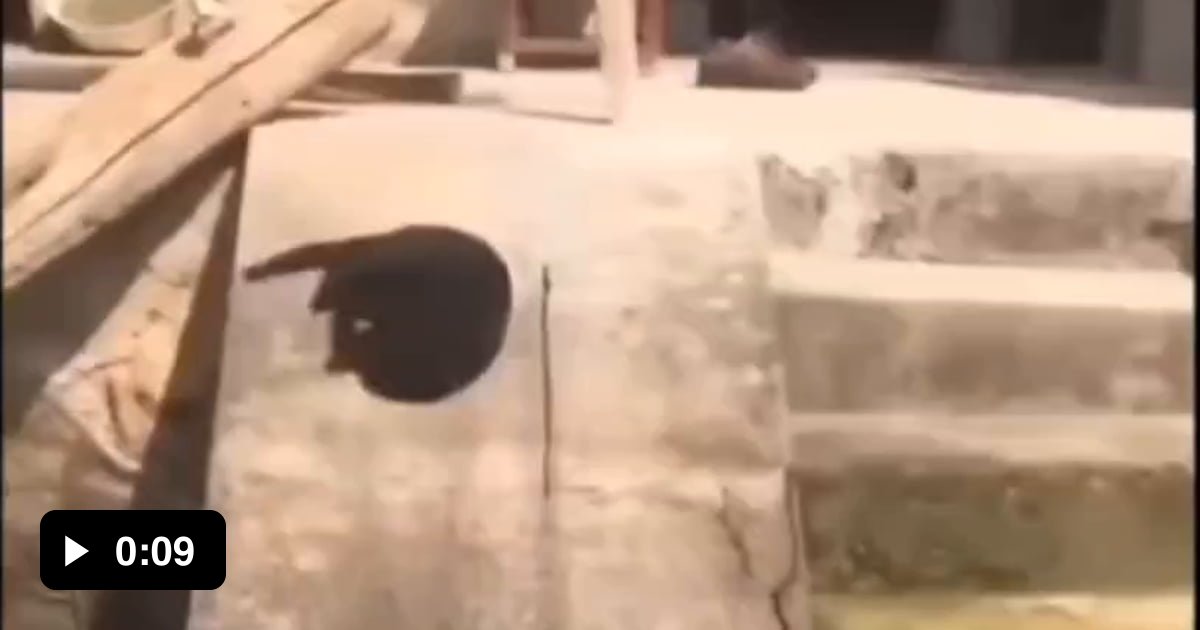 Weeee-Uh...Weeee - 9GAG