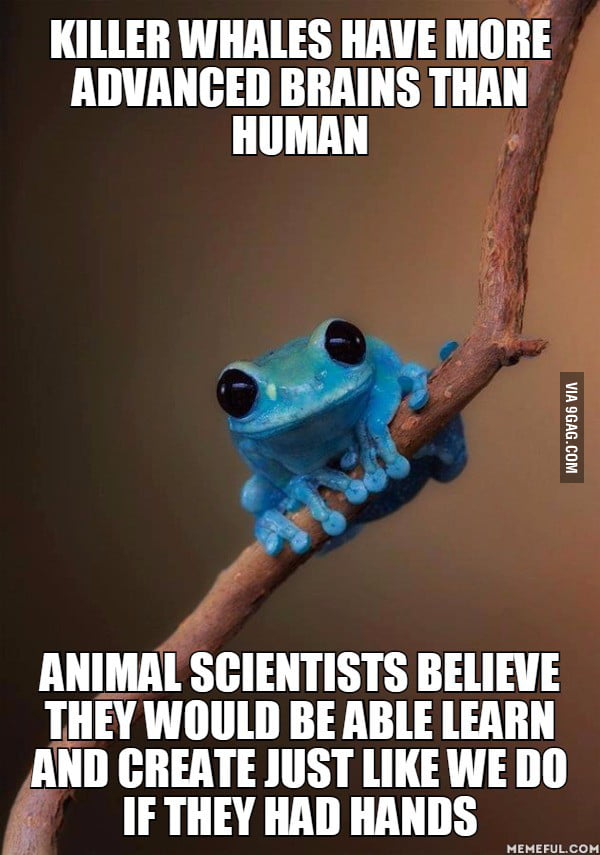 It just has never been necessary for their evolution. - 9GAG