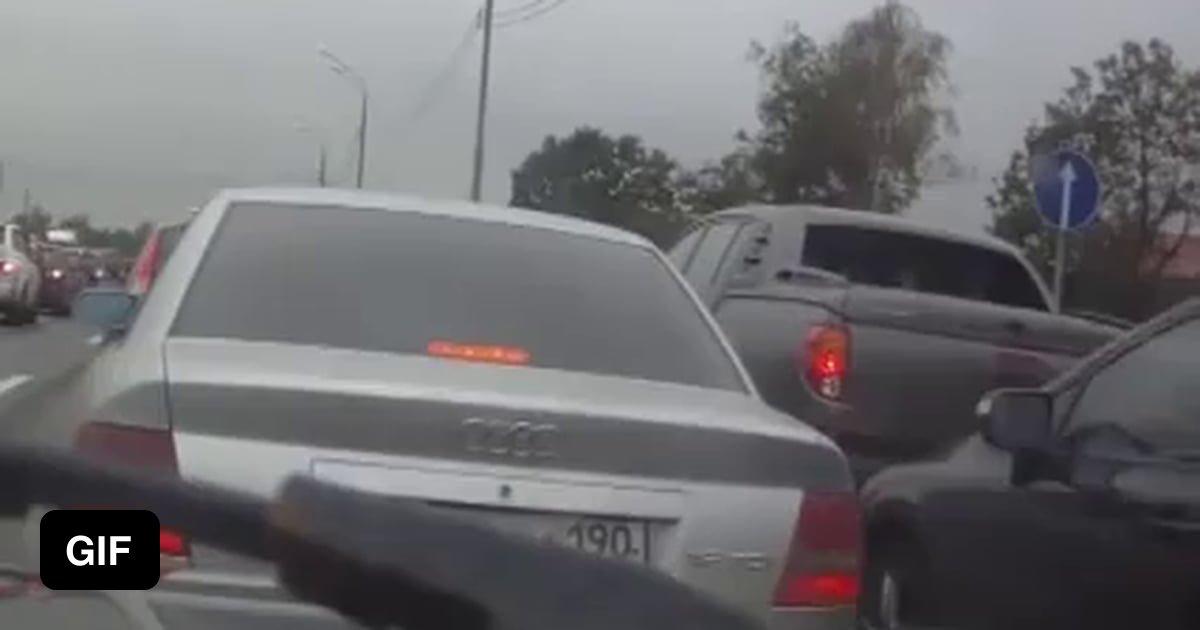 Dog Road Rage - 9GAG