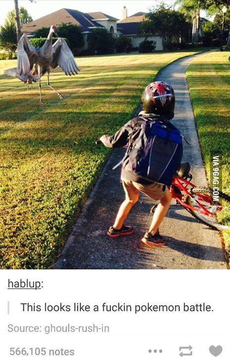 A wild Pokemon has appeared! - 9GAG