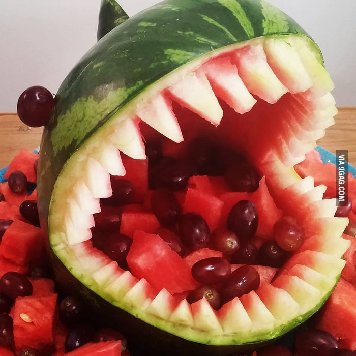 Watermelon Shark! - 9GAG