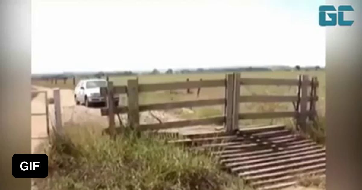 Low Budget Automatic Gate - 9GAG