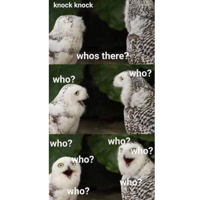 Who who who who.. - 9GAG