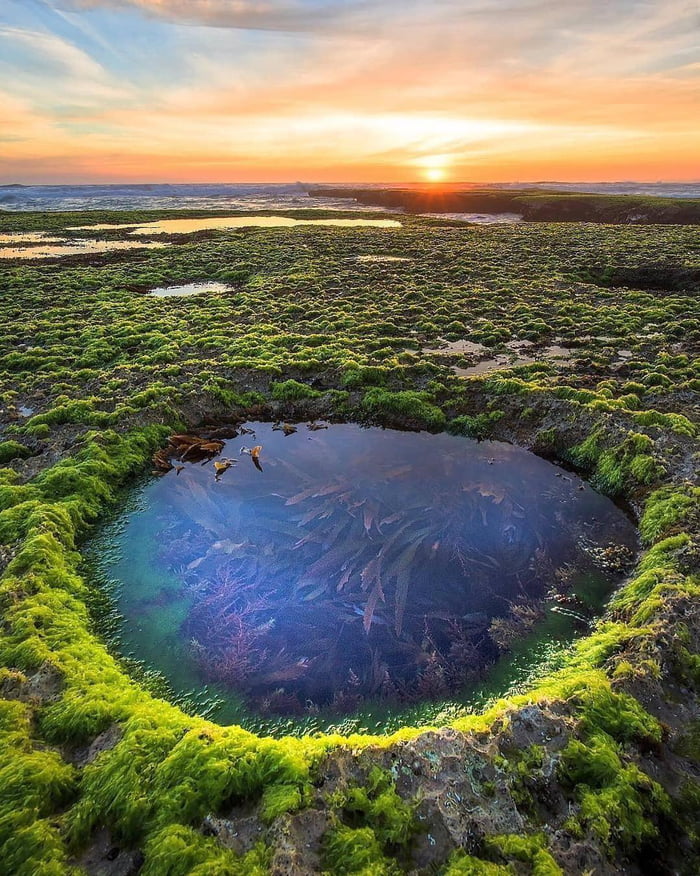 The beautiful Rock pools at Mornington Peninsula, Australia. - 9GAG